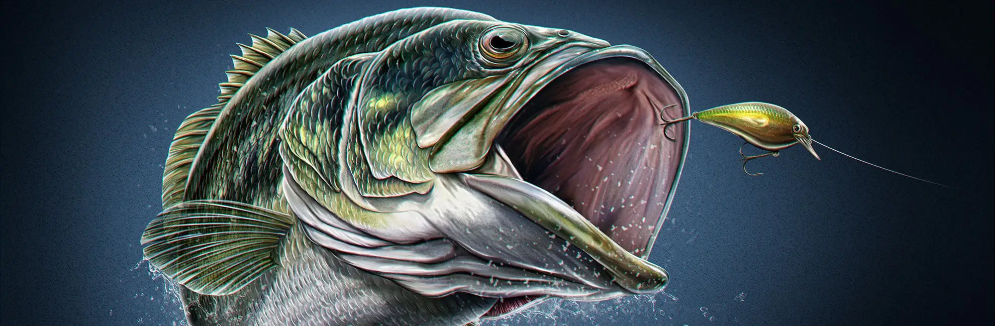 Fall Largemouth Bass Fishing Tips and Techniques – Obee Fishing Co.